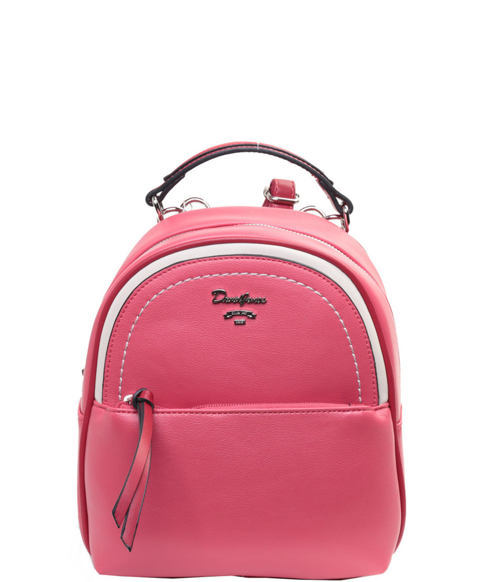 David Jones Backpack 6204-3