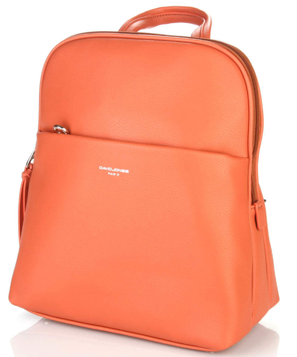 David Jones Backpack 6216-2