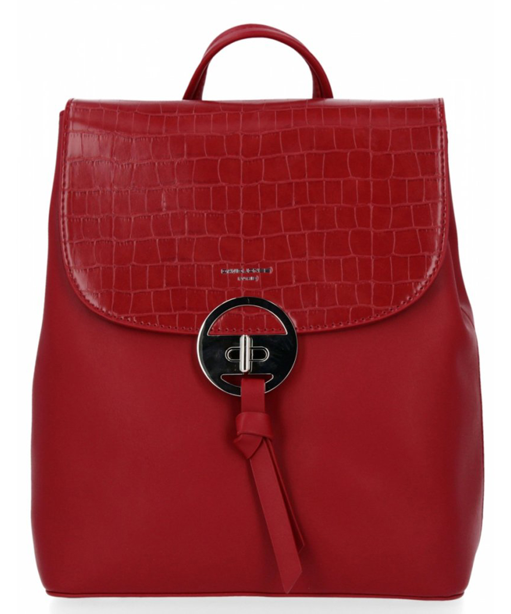 David Jones Backpack 6505-2
