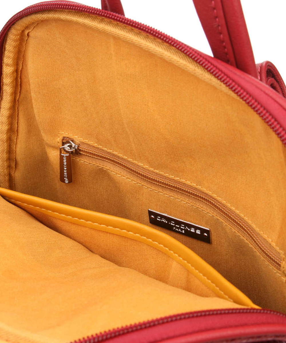 Package of 10 Pieces David Jones Backpack 6203-2