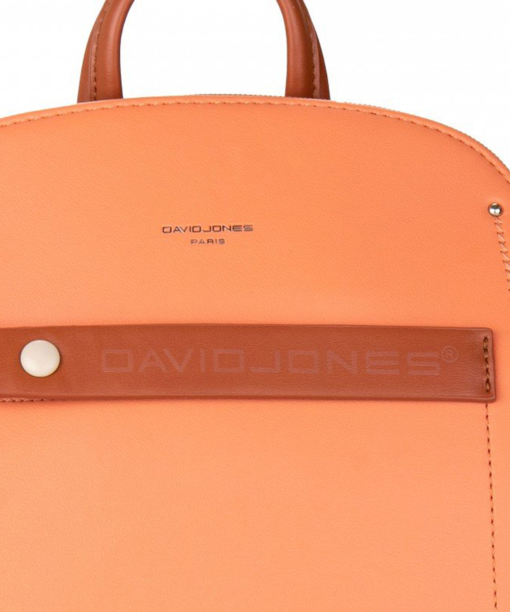 David Jones Backpack 6247-2