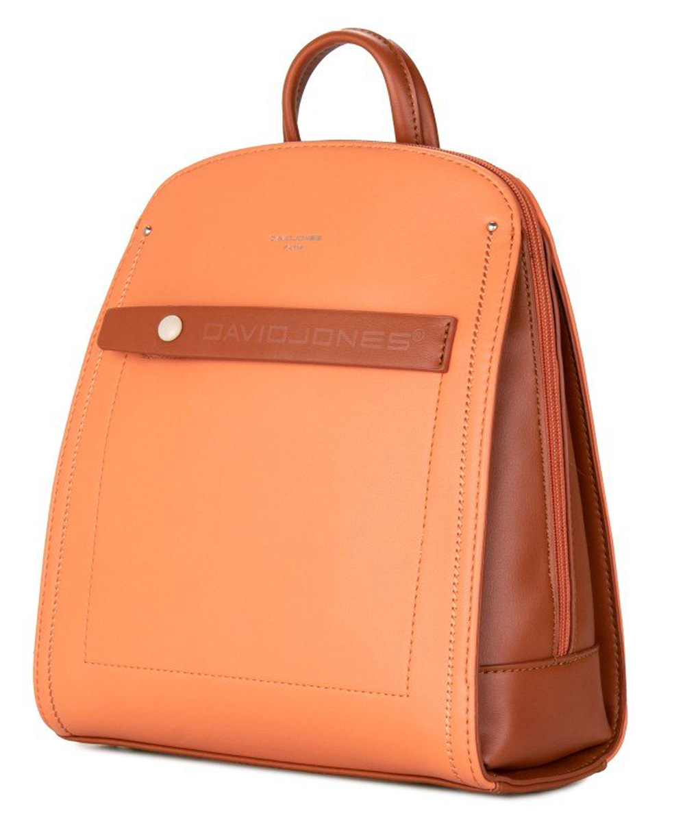 David Jones Backpack 6247-2