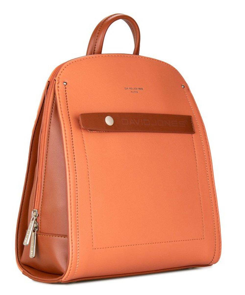 David Jones Backpack 6247-2